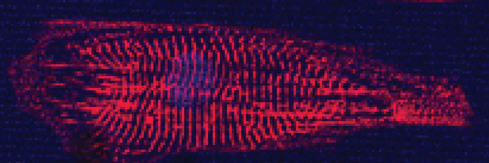 Yang Lab | Division of Cardiology
